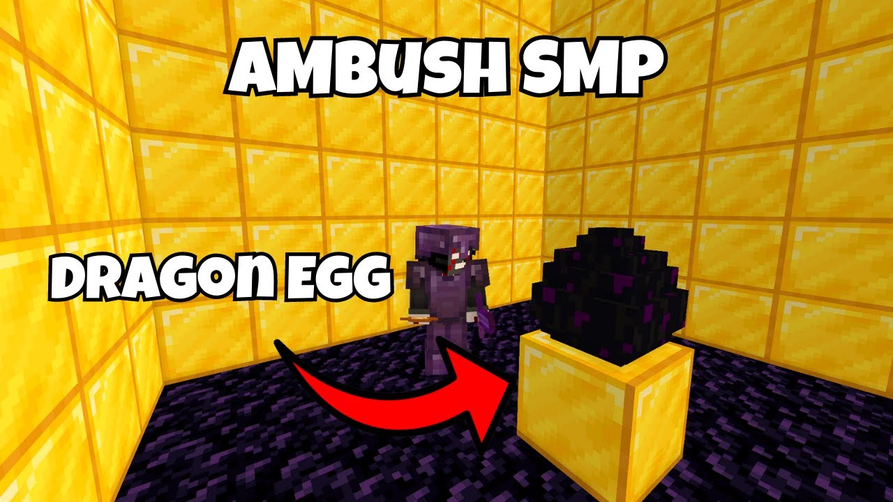 WE BEAT THE OWNER OF THIS MINECRAFT SMP... | Ambush Smp link in ...