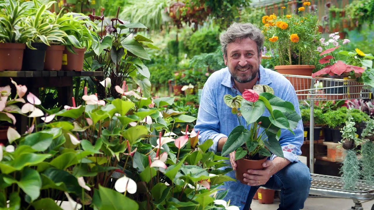 The Garden Gurus - Goodwood Garden Centre - YouTube