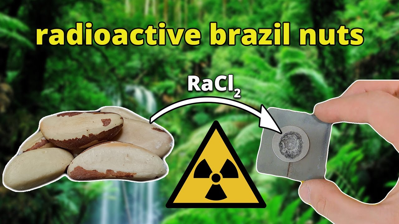 Radium from Brazil Nuts - nuclear chemistry - YouTube
