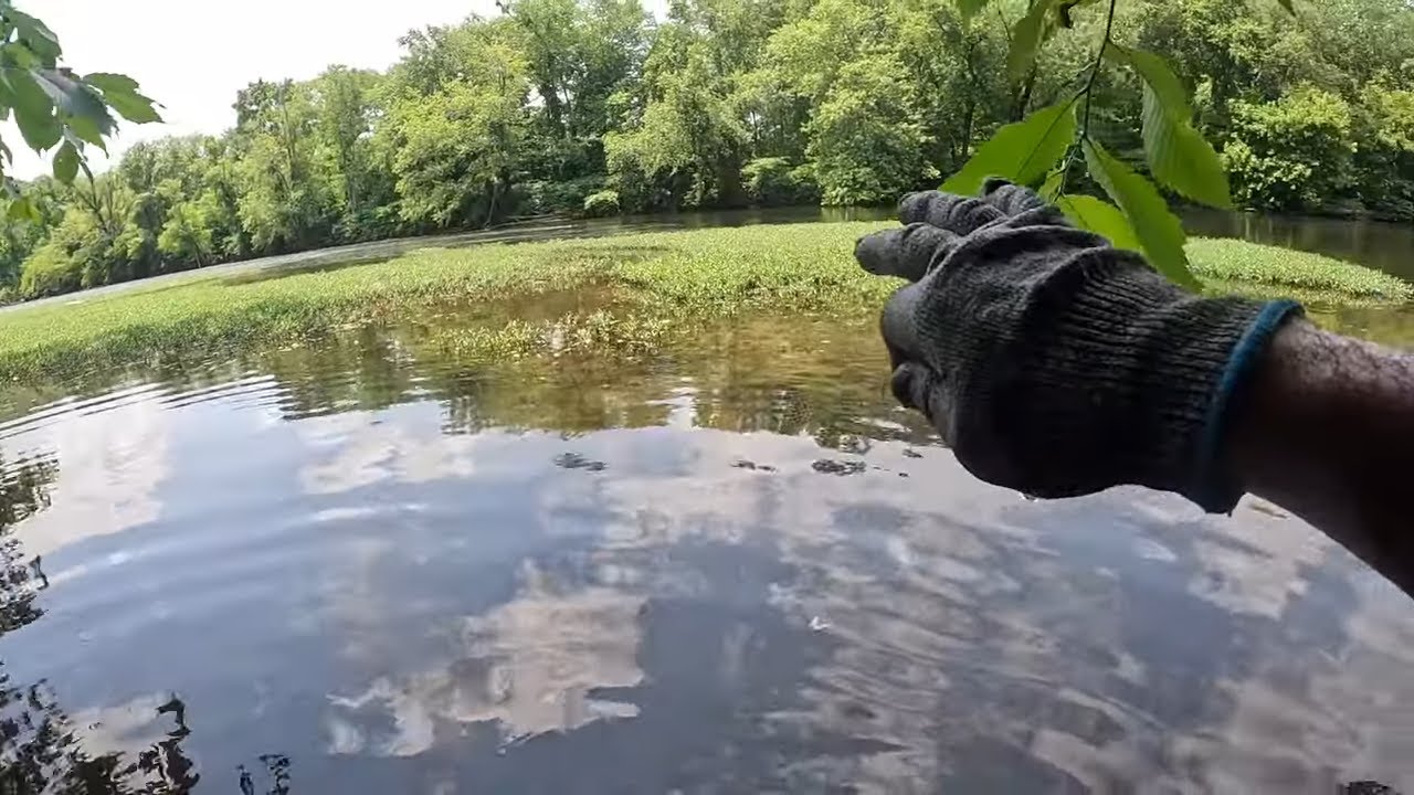 Searching The River With My Metal Detector - YouTube