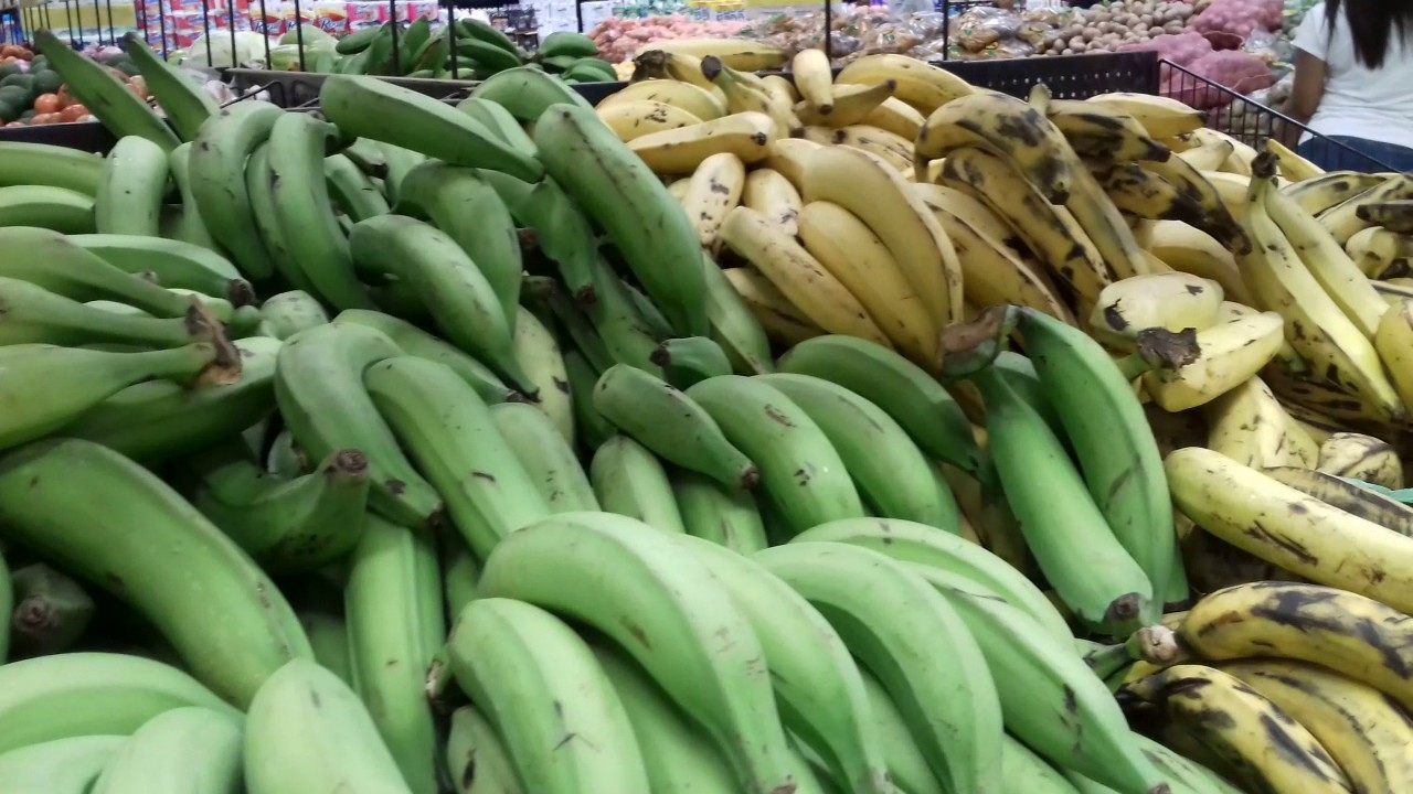 PLAGAS Y ENFERMEDADES DEL PLÁTANO, TRIPS - YouTube