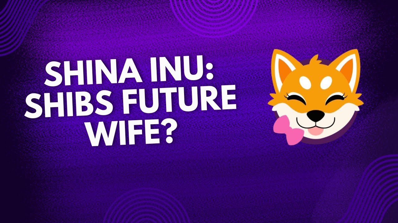 Shina Inu- Shibs Future Wife? - YouTube