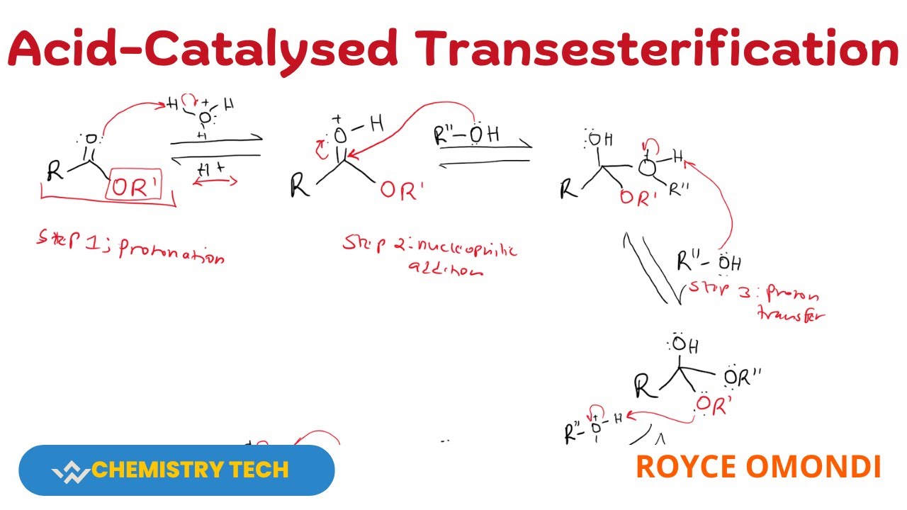 ACID-CATALYSED TRANSESTERIFICATION REACTION MECHANISM # ...
