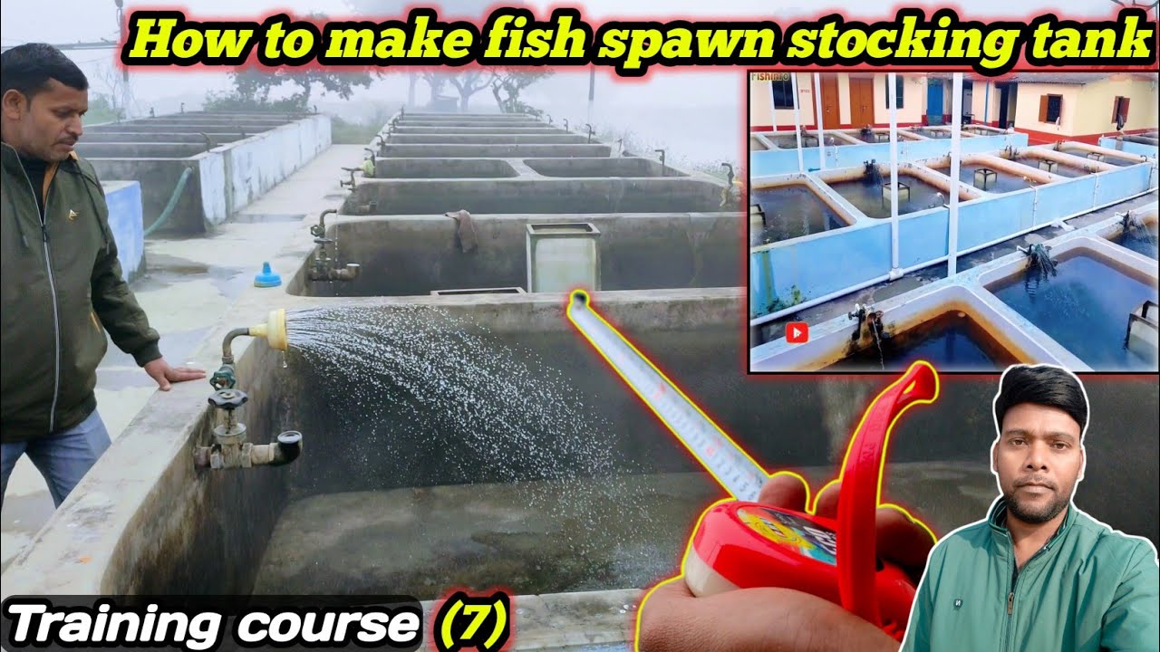 how to make fish spawn stocking tank / fish tank making measurement ...