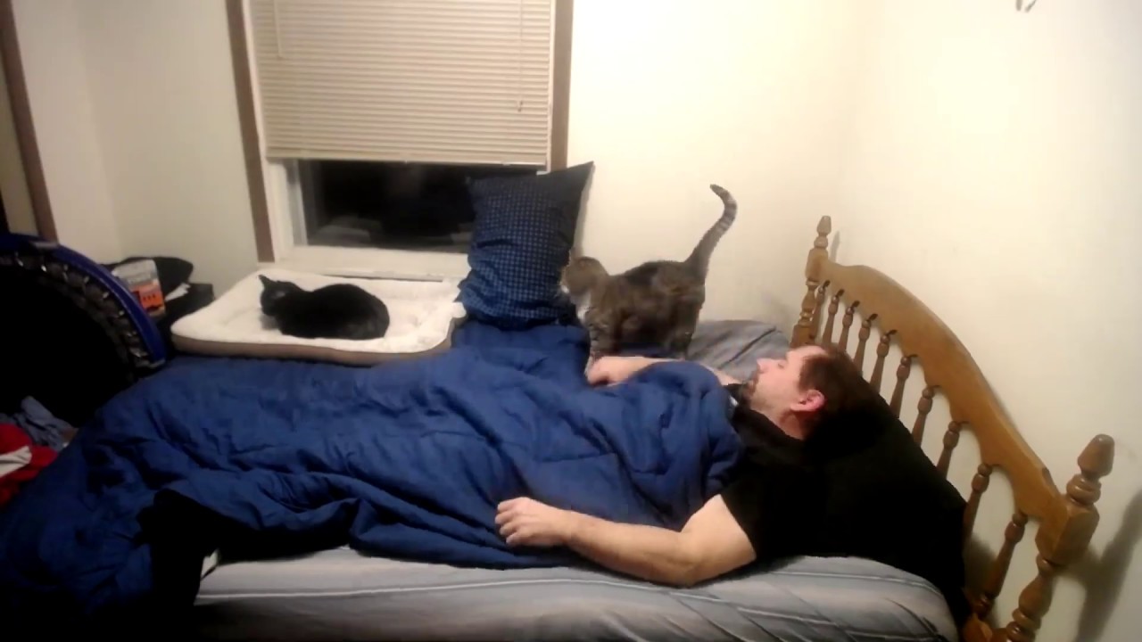 Sleeping Wednesday night 12-12-2018 - YouTube
