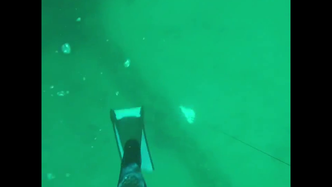 Goliath Grouper Attack - YouTube