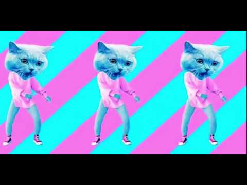 i am cat dance channel