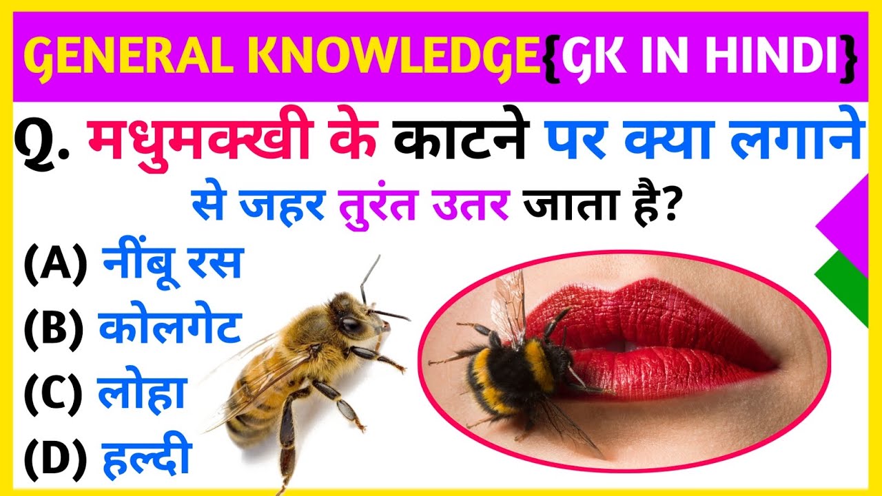 Most Brilliant Answers Of UPSC | IAS Interview General Knowledge Question | Gk | SR GK STUDY ...