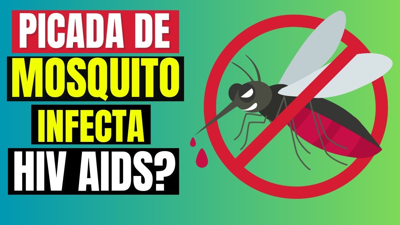 5 Formas de Transmissão do Vírus HIV/AIDS | Picada de Mosquito Infecta ...