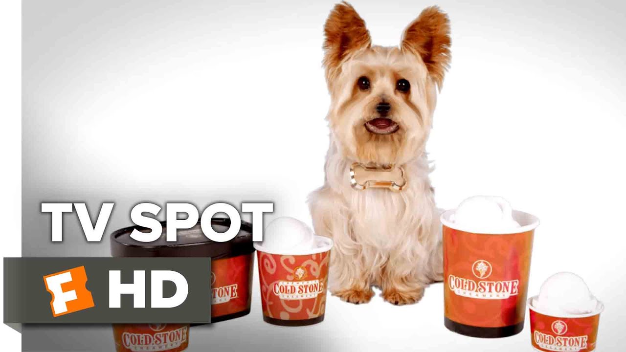 Pup Star TV Spot - Cold Stone (2016) - Air Bud Entertainment Movie ...
