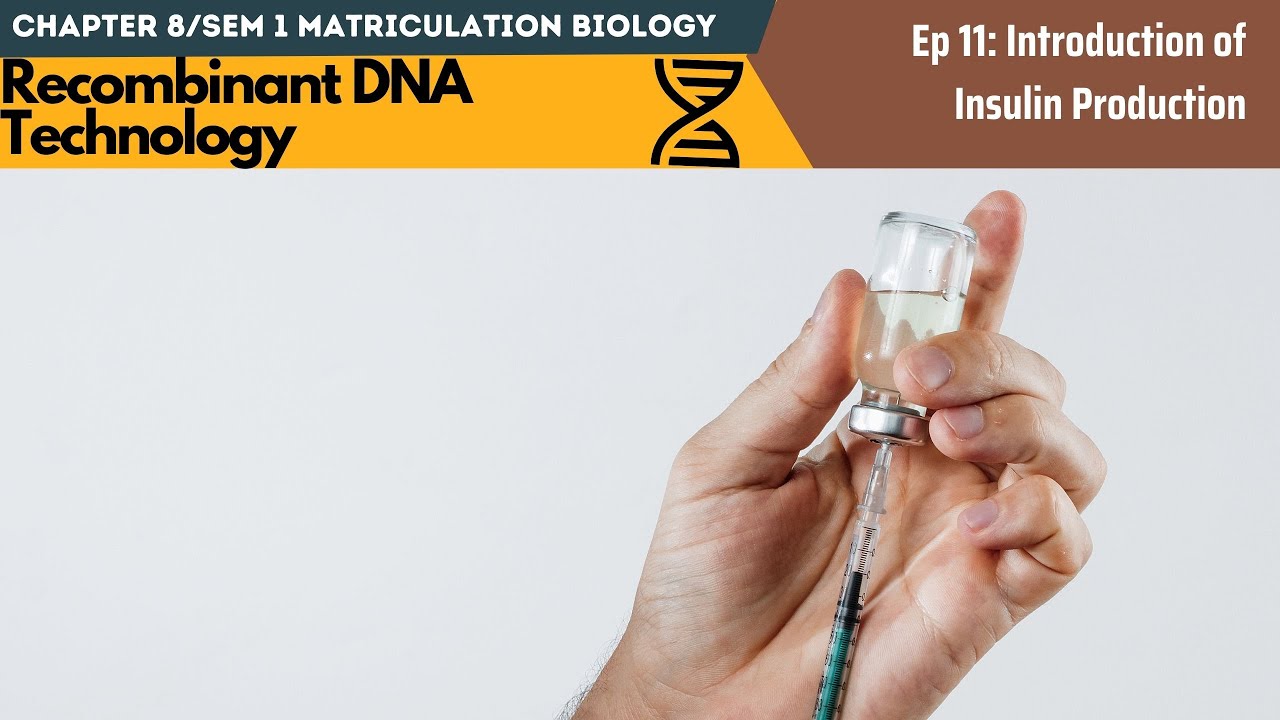 Chapter 8 EP 11 / Sem 1 : Introduction of insulin production using cDNA ...