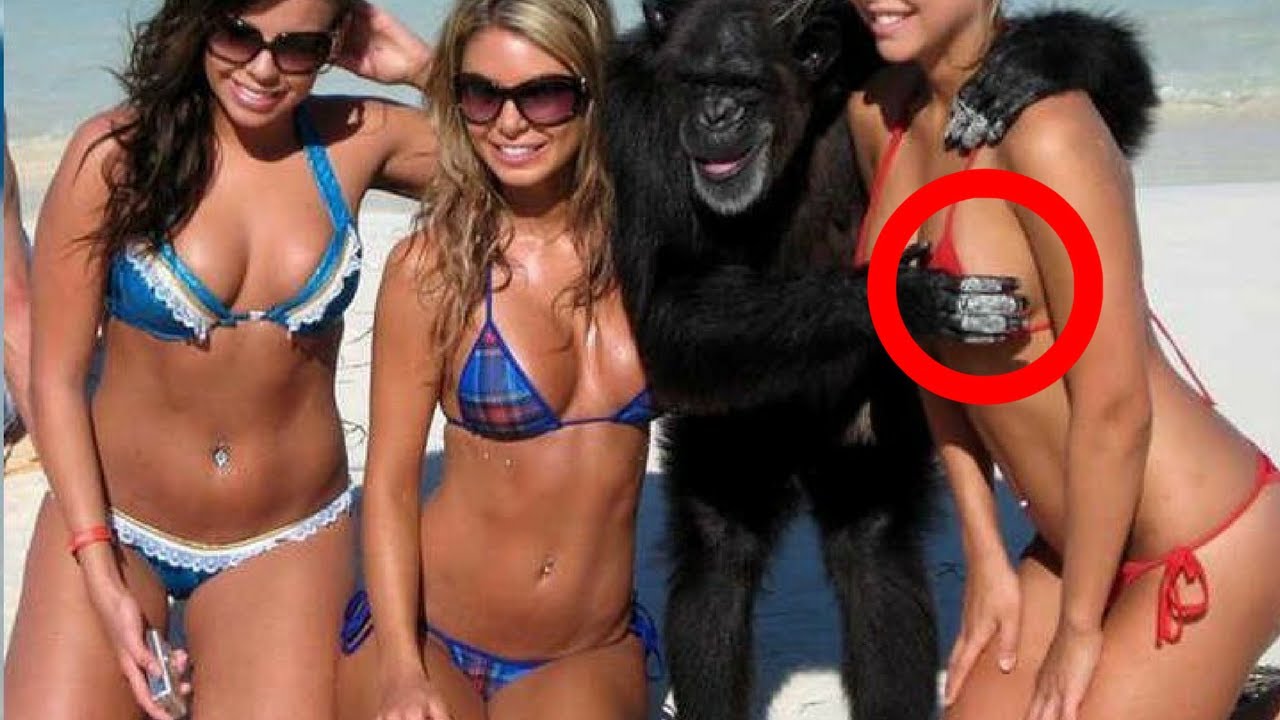 Try Not To Laugh Or Grin Funny Fails Compilation Of 2017 Best Fails