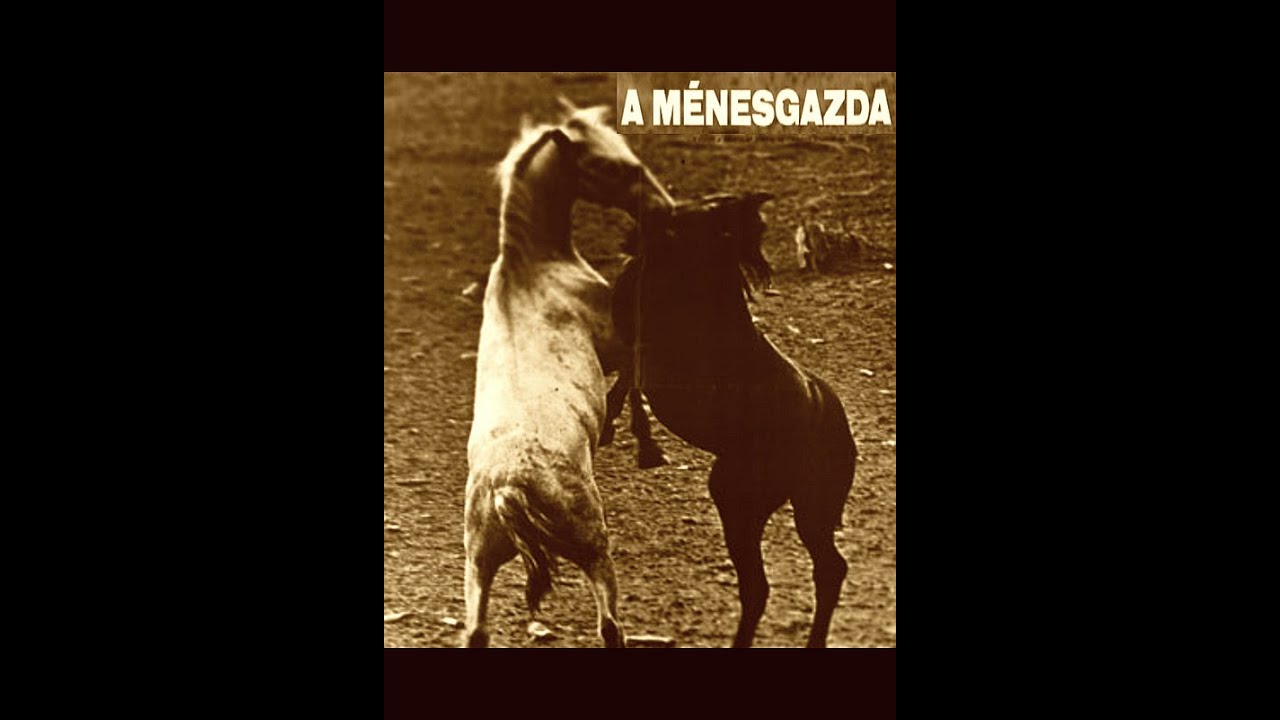 A ménesgazda ( RJ ) ; Gáll István - YouTube