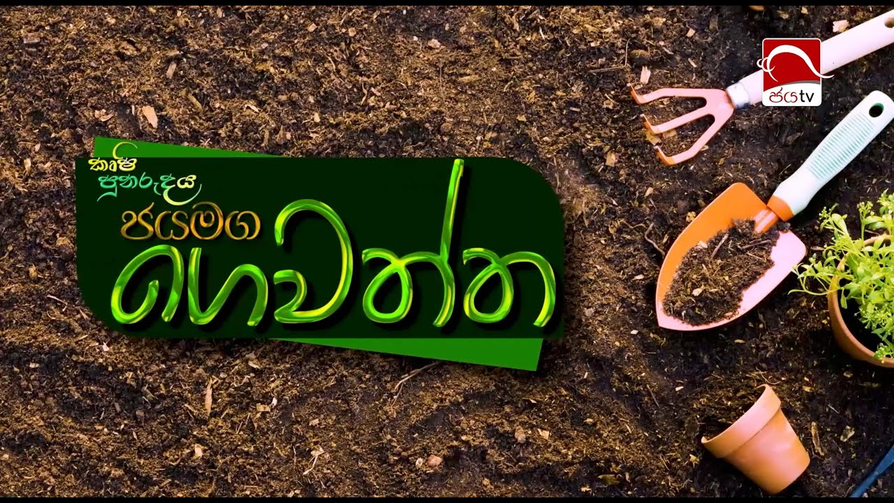 Jayamaga Gewaththa | ජයමග ගෙවත්ත | 2023-05-27 - YouTube