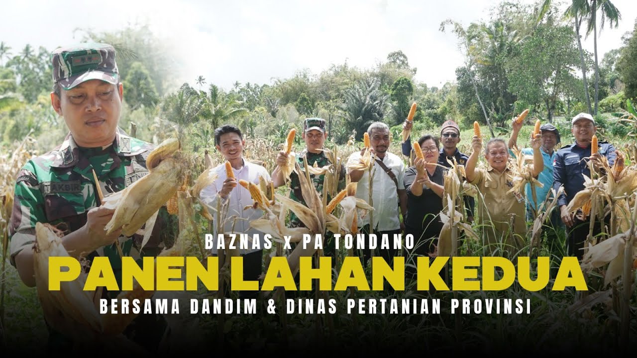 Panen di Lahan Kedua Kolaborasi BAZNAS & PA Tondano dihadiri Dandim ...
