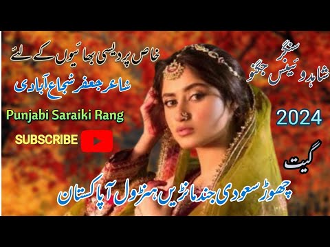 new saraiki song 2024 | wal meda yaar | pakistani song | punjabi ...