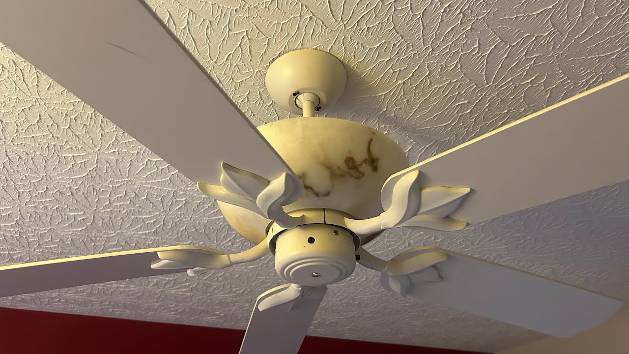 NCFD: 4 out of 6 ceiling fans in my house - YouTube