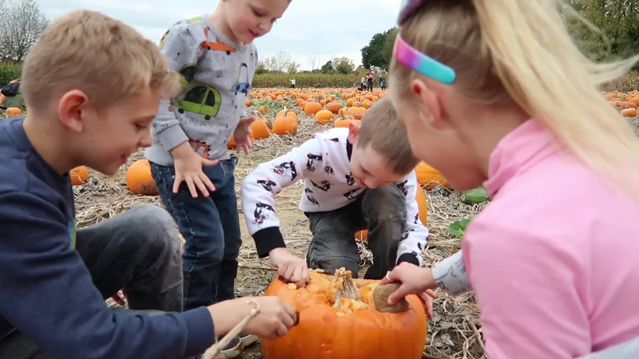 Pumpkin Patch Colchester 2017 - YouTube