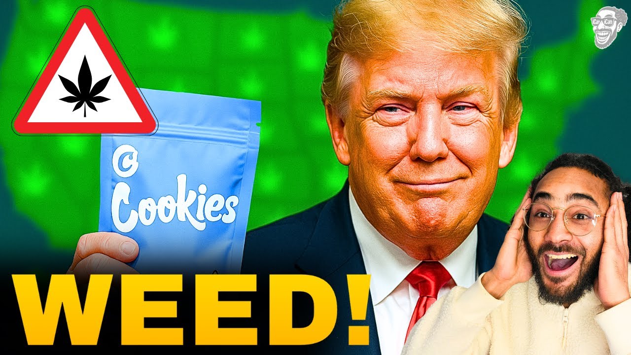 The Top 5 Weed-Friendly States in America… You WON’T Believe #1! ⚖️🔥 ...