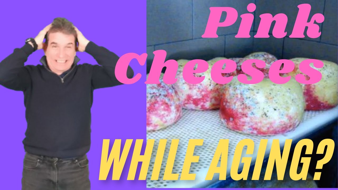 The Pink Cheese That Changed How We Age Cheese - YouTube