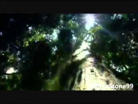 Hayrulla Hamidov (Shukr Qilish Tushunchasi..)  [HD]