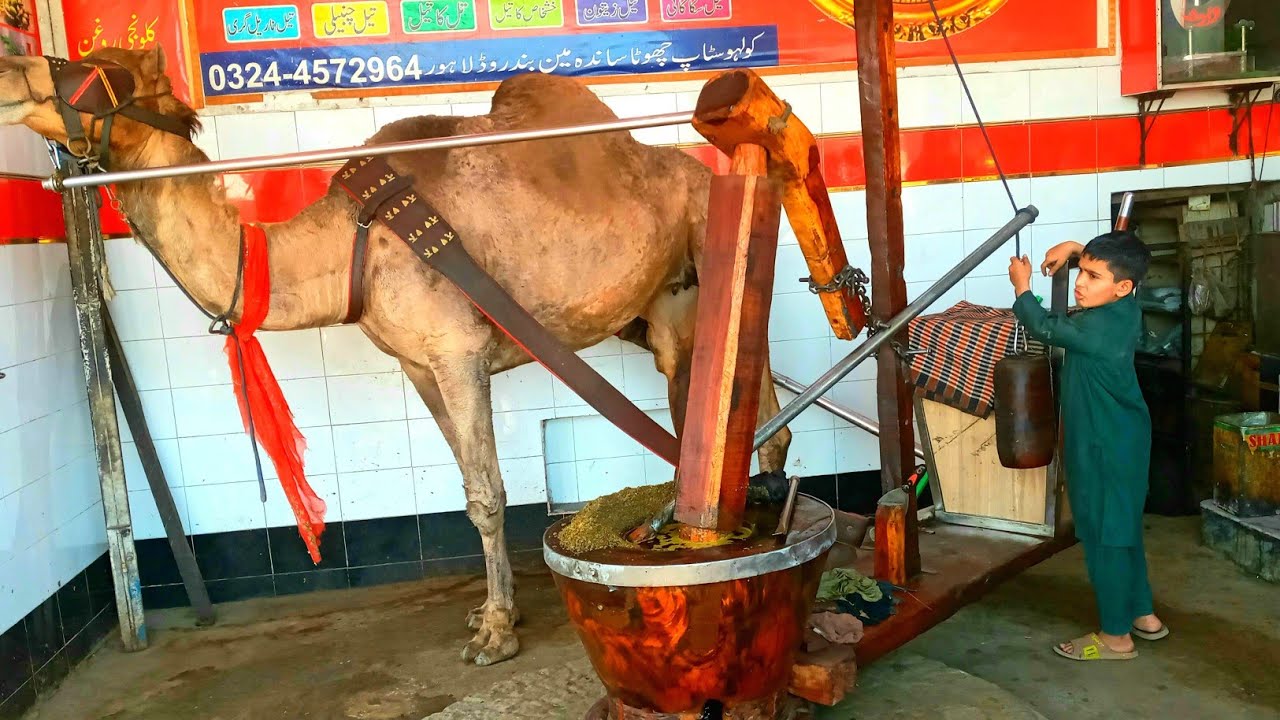 sarson ka oil 🪔🪔🪔🪔 سرسوں کا اول - YouTube