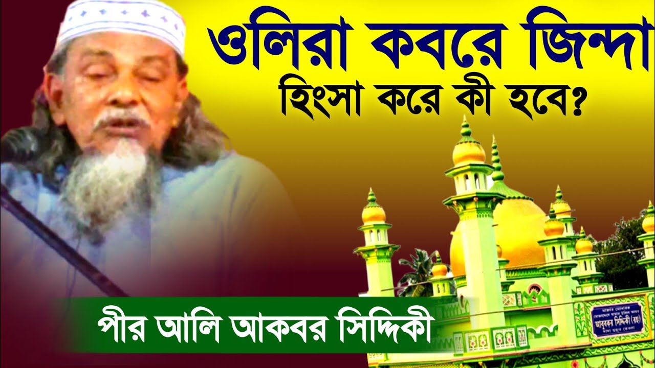 আল্লাহার ওলিরা কবরে জিন্দা হিংসা করে কী হবে | Pir Ali Akbar Siddiqui ...