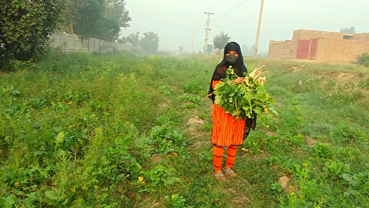 Simple Breakfast Routine | Moli ka Paratha | Radish Paratha | Pakistani ...