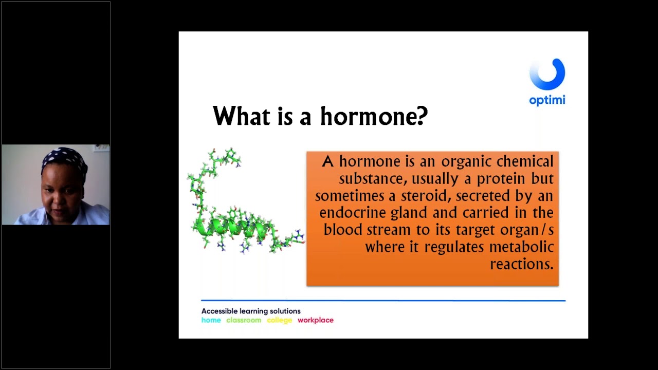 Grade 12 Life Sciences Human Endocrine System - YouTube