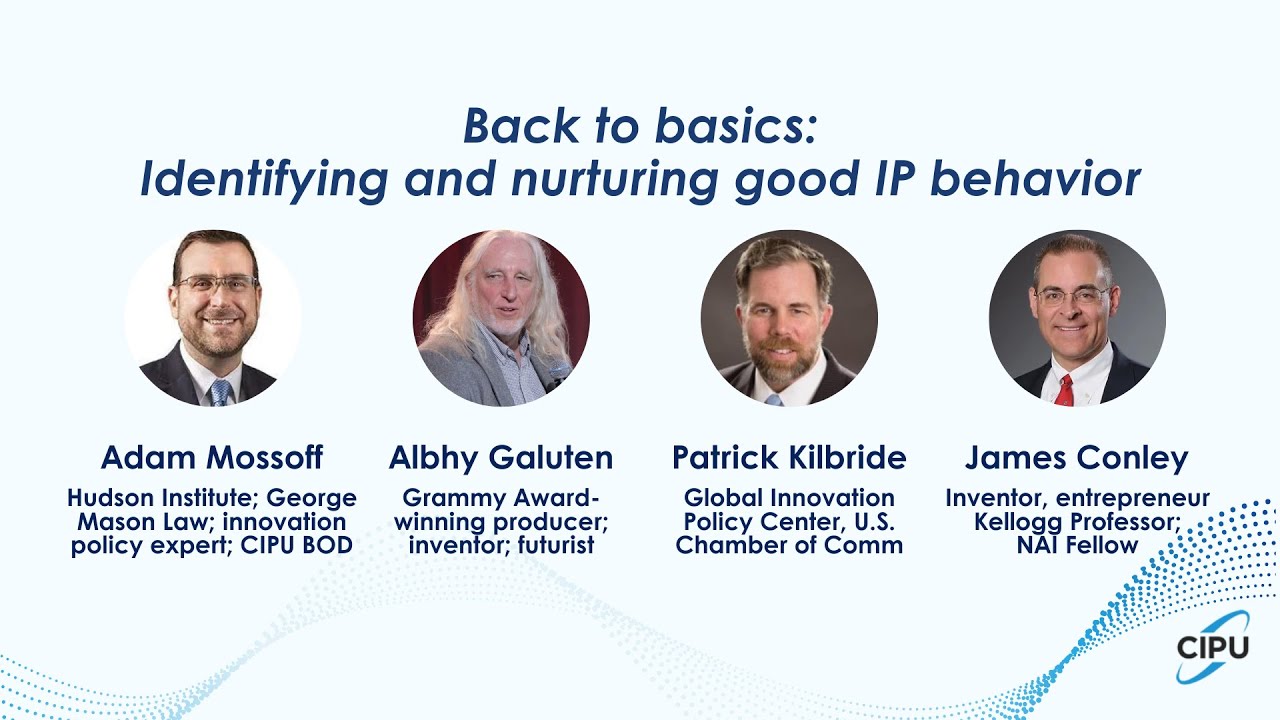 IPAS 2024 Panel 3: Back to Basics: Identifying and Nurturing Good IP ...