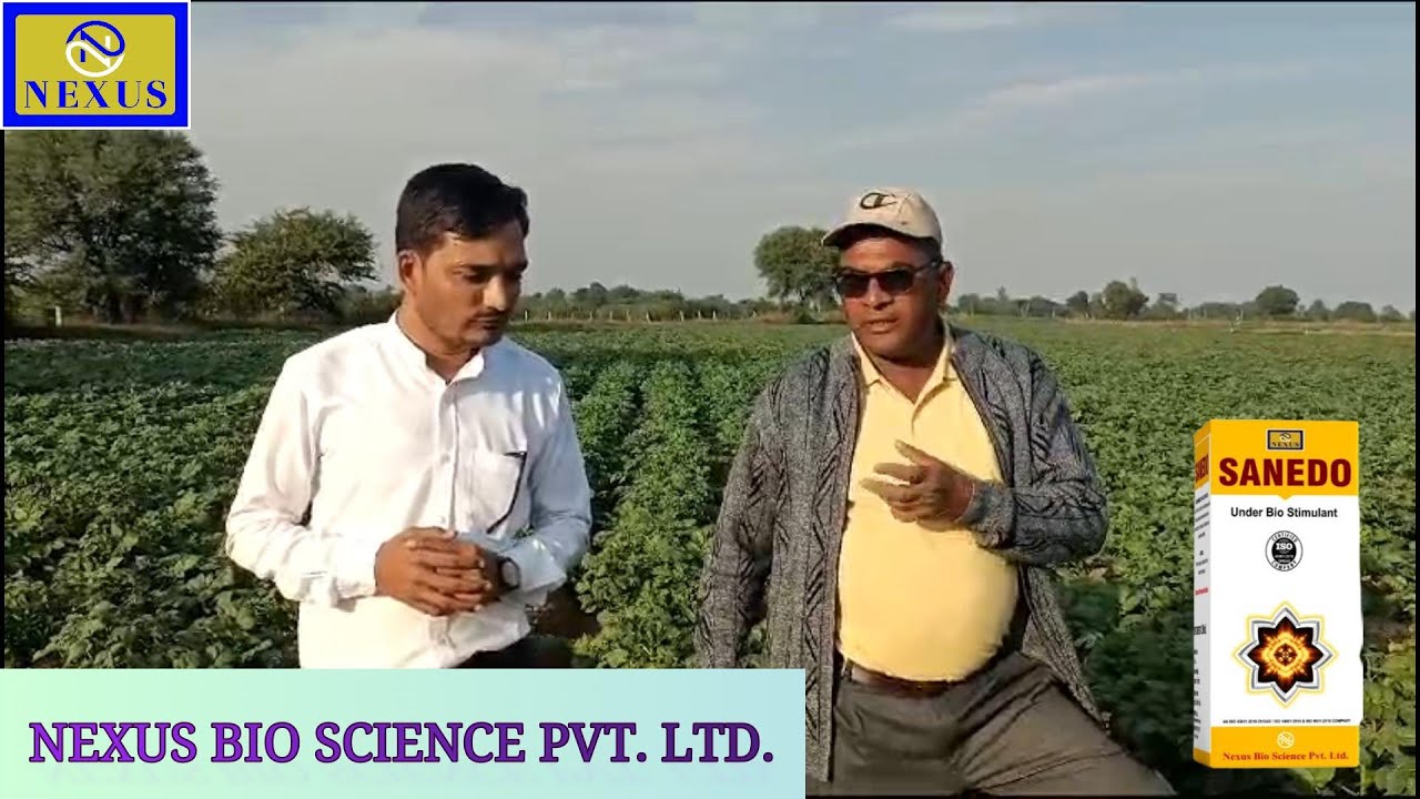 SANEDO_NEXUS BIO SCIENCE PVT. LTD. - YouTube
