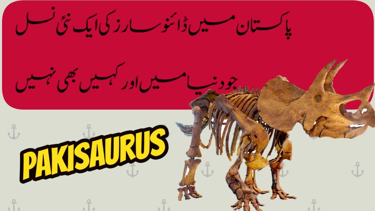 Amazing history of Dinosaurs in Pakistan - YouTube