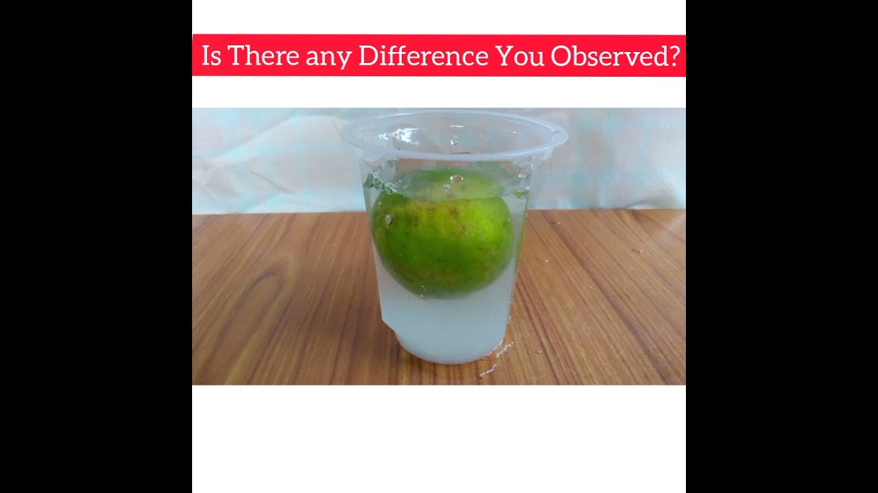 Floating Of the Lemon - YouTube