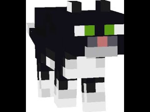 El Gato de la Bruja Minecraft 1.16 #5 - YouTube