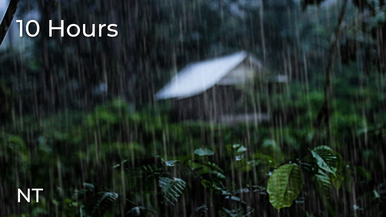Endless Tropical Rainfall: Calming Rain Sounds for Sleep, Stress Relief ...