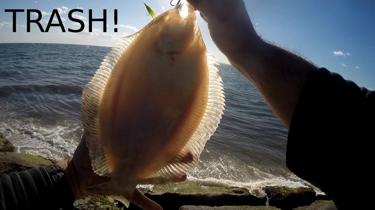 The Common TRASH Fish - NO WAY! Surf fishing for FUN Fish Caught on ...