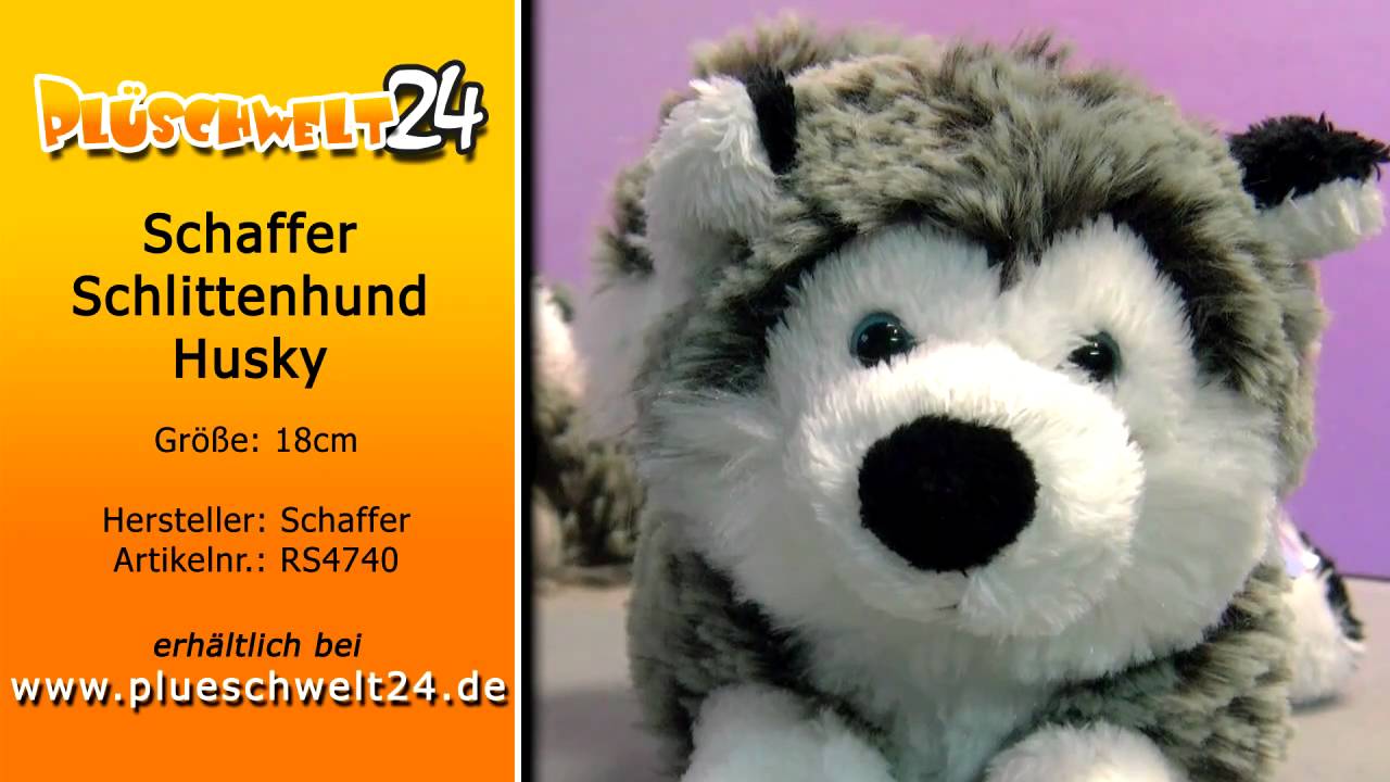 Plüschwelt24 - Schaffer Schlittenhund Husky 18cm - YouTube