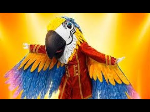 The Masked Singer Season 9 - Macaw (All Performances So Far) - YouTube