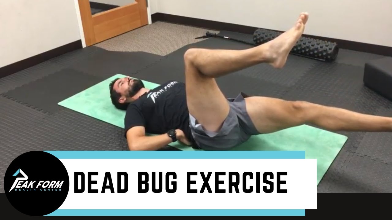 Low Back Pain Core Exercises | San Diego Chiropractic - YouTube