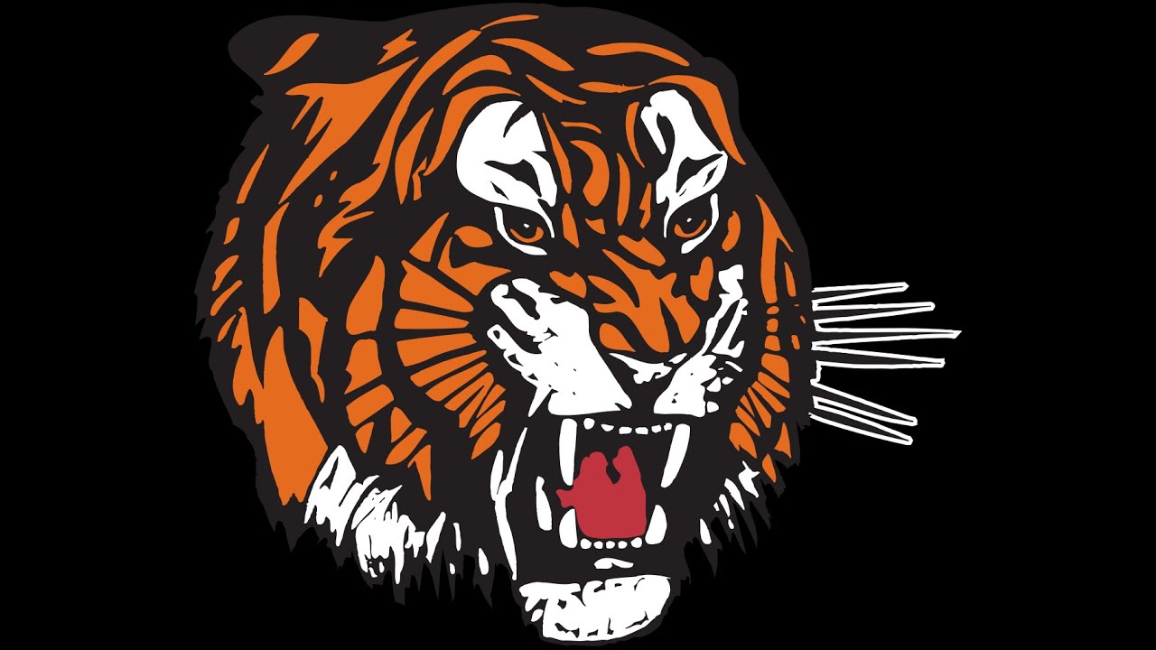 2012 Tigers Hockey Club vs 2012 Southeast Selects - YouTube