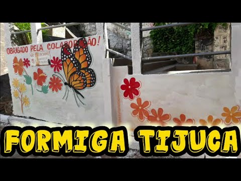 Morro da formiga, Tijuca- Rio. - YouTube