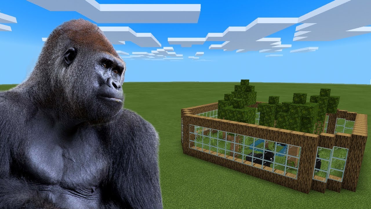 How To Make a GORILLA FARM in Minecraft PE - YouTube