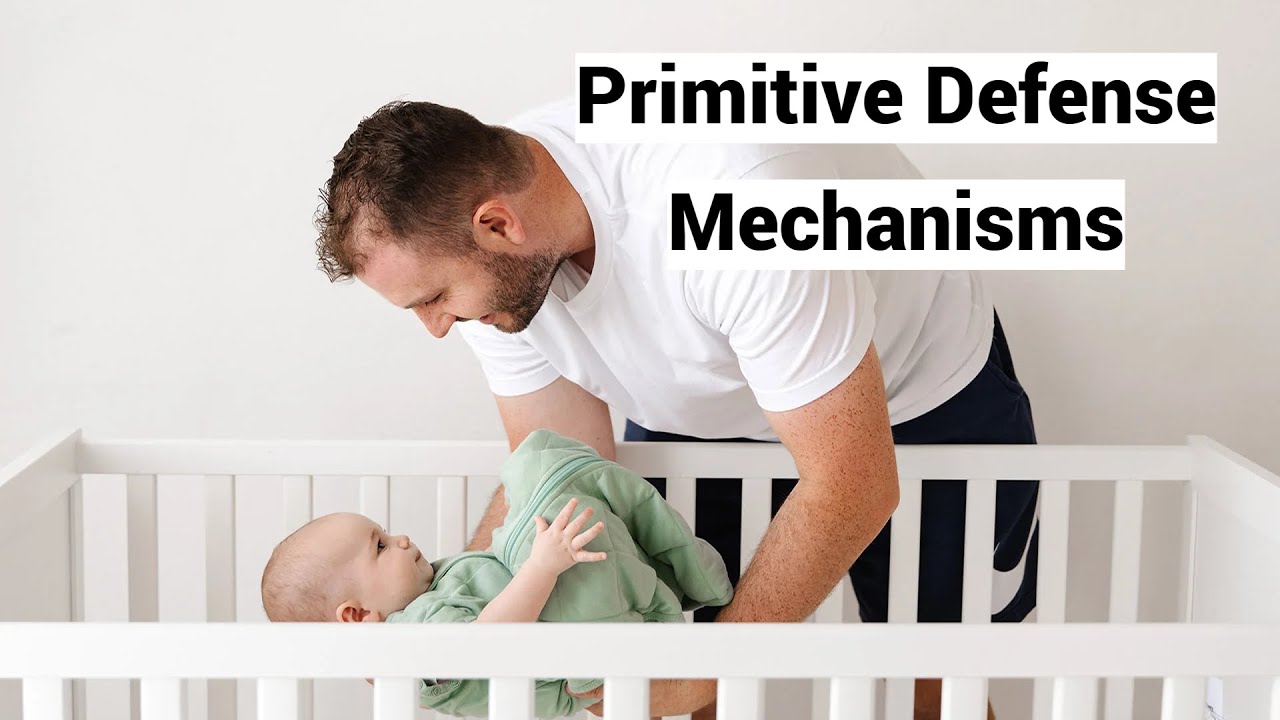 Falsify Reality, Deny Yourself: Primitive Defense Mechanisms (NEW Intro ...
