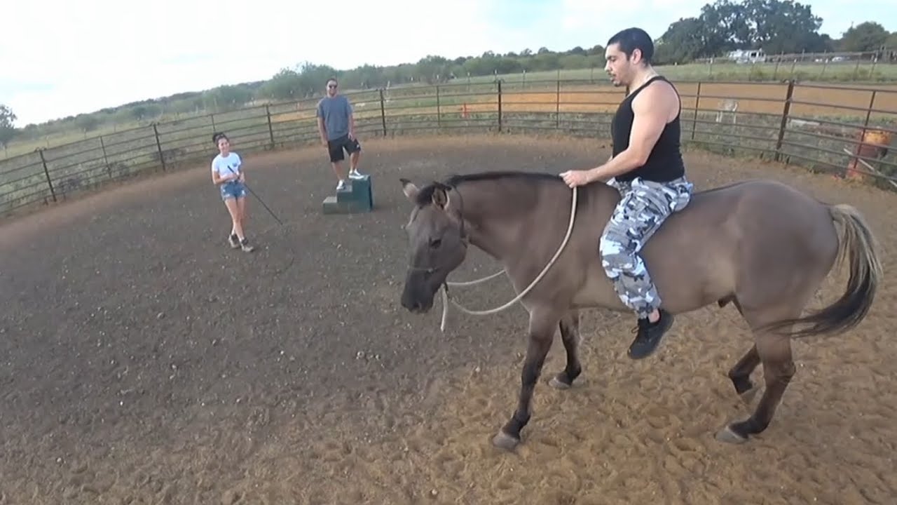 Maya rides her horse with Greekgodx, Malena, and Nick | VOD Supercut #2 ...