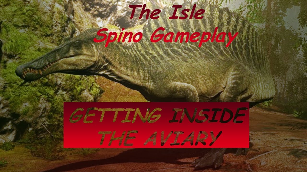 The Isle: Spino Hunting as a Spino?+GETTING INSIDE THE AVIARY! - YouTube