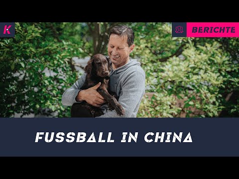 Abenteuer China: Ex-Leverkusen-Trainer Roger Schmidt über seine Zeit im Reich der Mitte