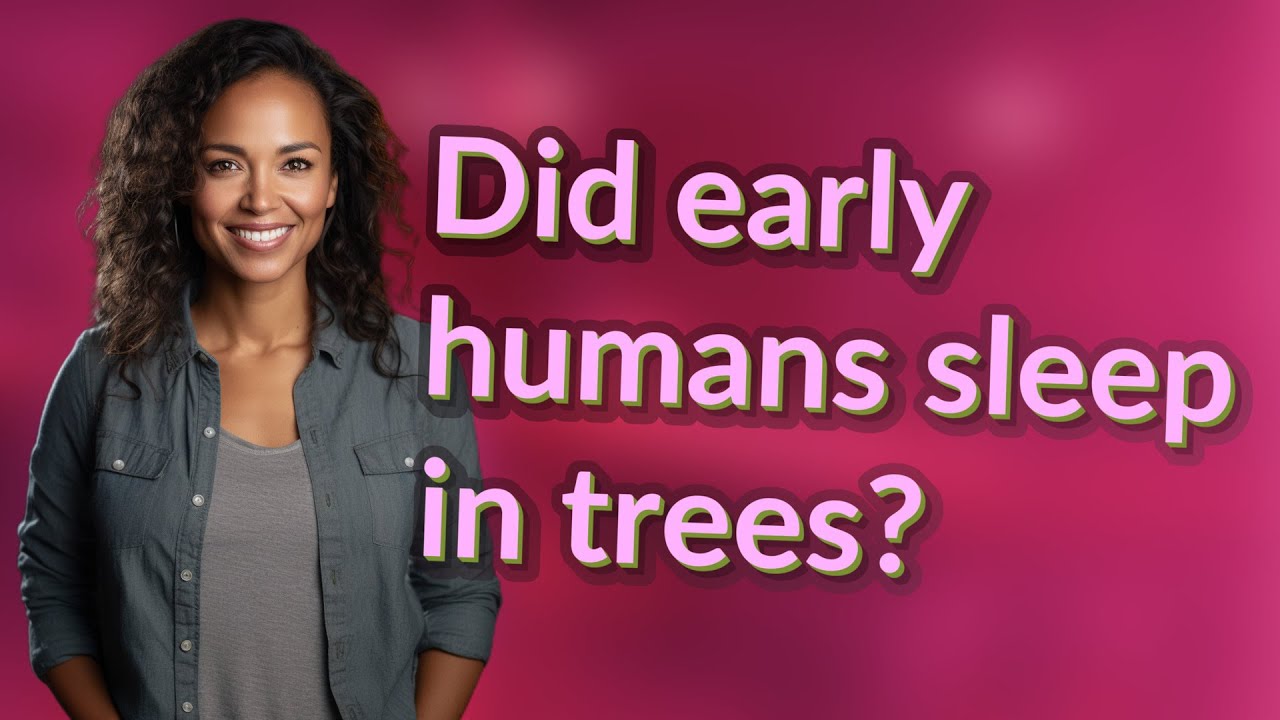 Did early humans sleep in trees? - YouTube