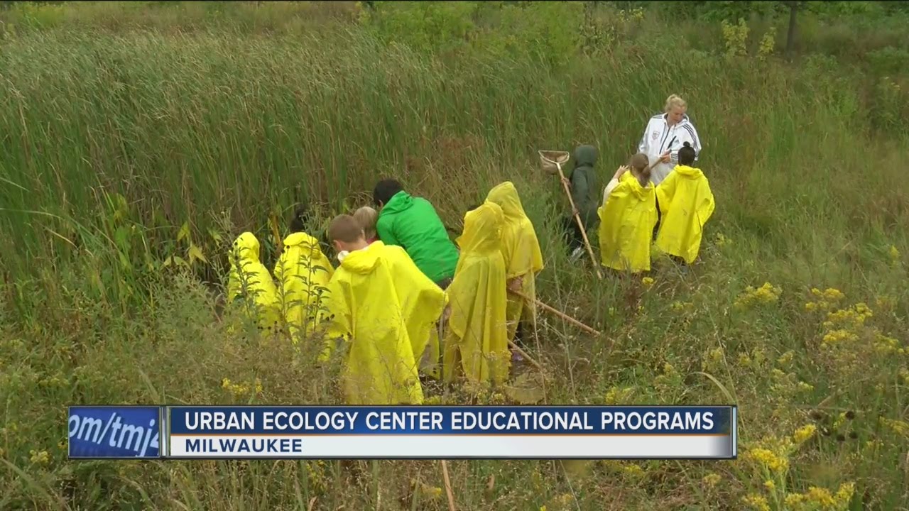 Urban Ecology Center offers hands-on science education - YouTube