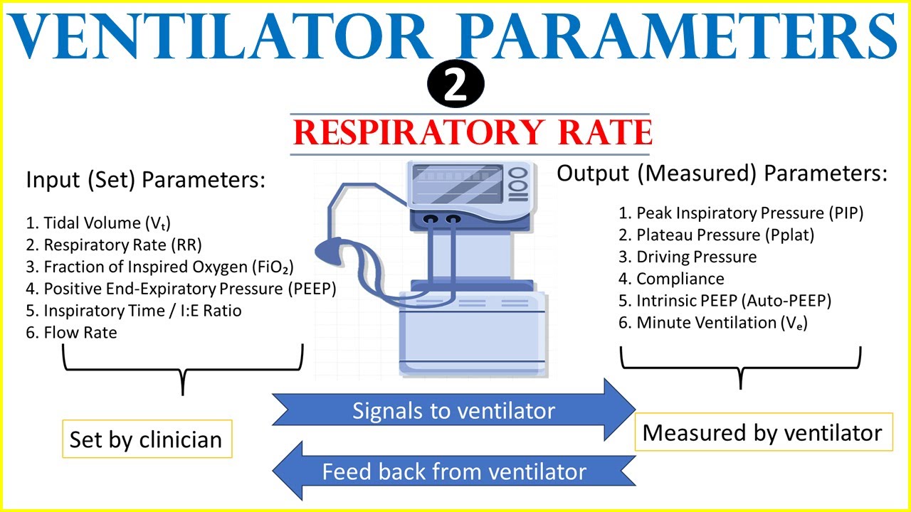 Ventilator Parameters and settings (Respiratory rate) - YouTube