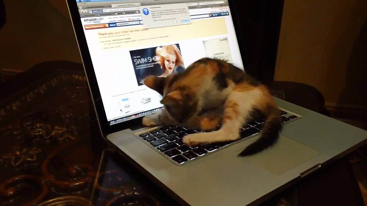 buzaki tube - YouTube